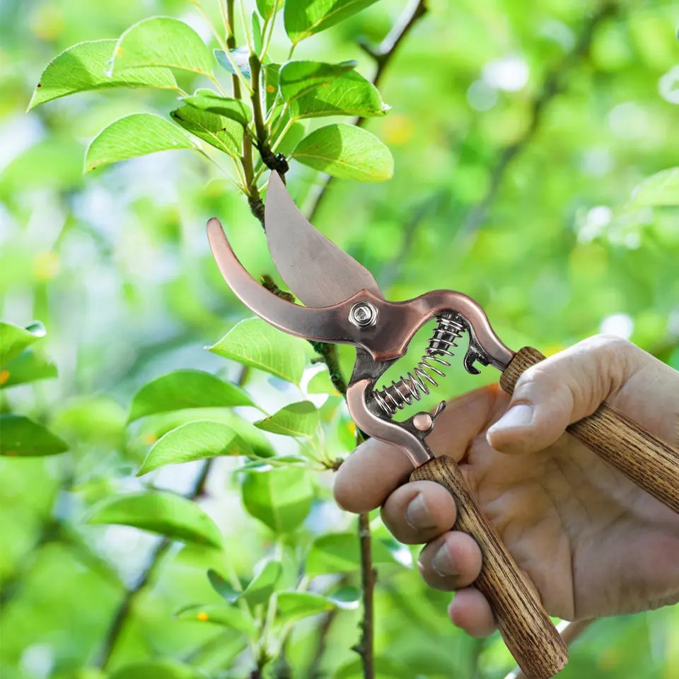 garden tools set from China, garden tools set Manufacturer & Supplier ...