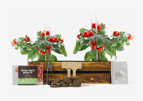 Professional Garden Products & Garden Tools Supplier - Hantechn