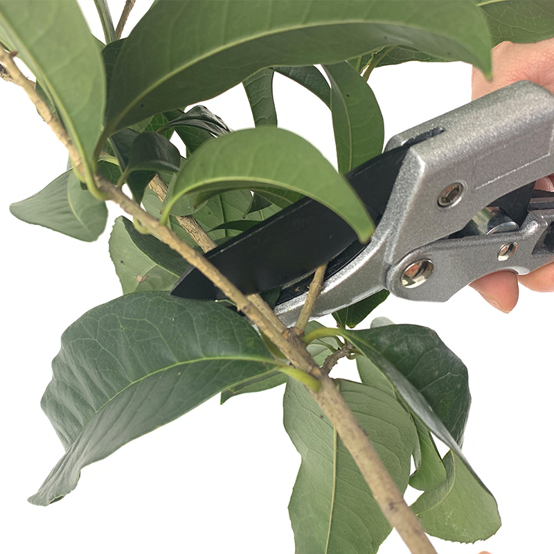 Anvil Pruning Shears GT2094 - Hantechn