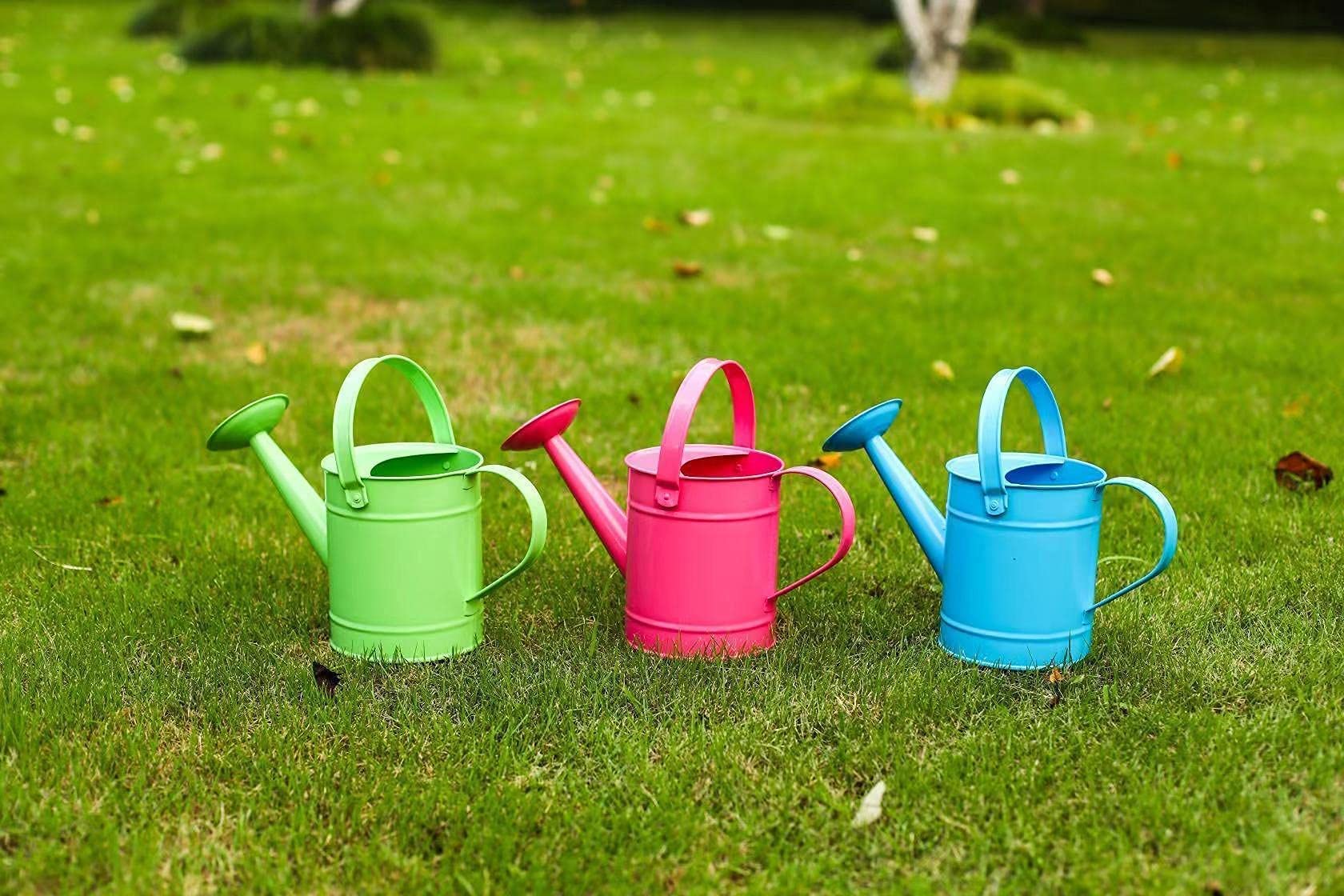 Small Watering Can GT18016 - Hantechn